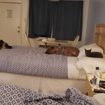 GULF BREEZE MOTEL - Updated July 2025 - 27 Photos & 30 Reviews - 1512 ...