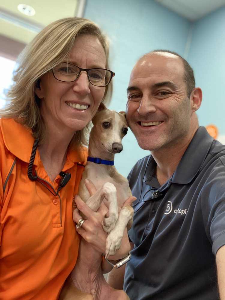 DOGTOPIA OF NORTH GILBERT - Updated May 2026 - 876 N McQueen Rd ...