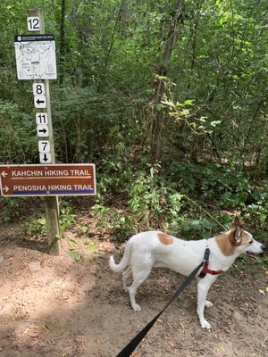 BRIGHTON STATE RECREATION AREA - Updated August 2024 - 30 Photos & 23 ...