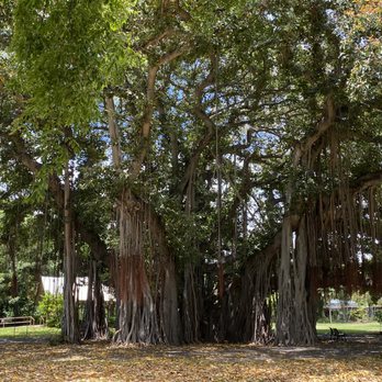 HONOLULU ZOO - Updated February 2025 - 5191 Photos & 966 Reviews - 151 ...