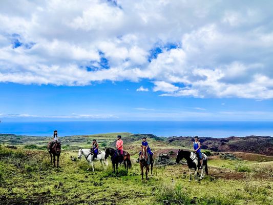 TRIPLE L RANCH MAUI - PRIVATE CUSTOM HORSEBACK RIDING - 755 Photos ...