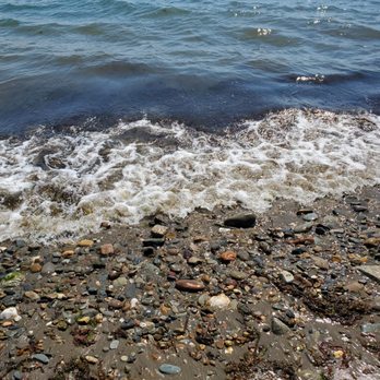 SANDY POINT BEACH - Updated October 2025 - 26 Photos - 620 Sandy Point ...