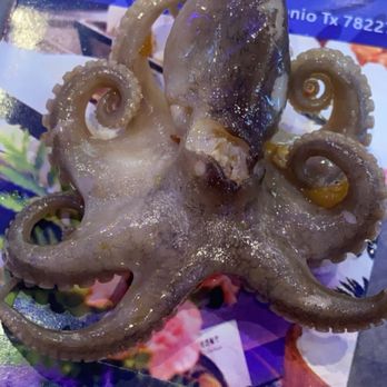 DRAGON BUFFET - Updated January 2026 - 117 Photos & 49 Reviews - 8230 ...