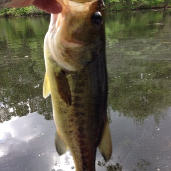 DEER LAKE CLUB - Updated December 2025 - 11 Photos - 118 Rockaway ...