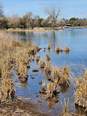 CAMERON PARK LAKE - Updated July 2025 - 67 Photos & 25 Reviews - 2989 ...