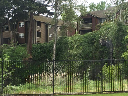 FOREST RIM APARTMENTS - Updated October 2025 - 33 Reviews - 6765 SW ...