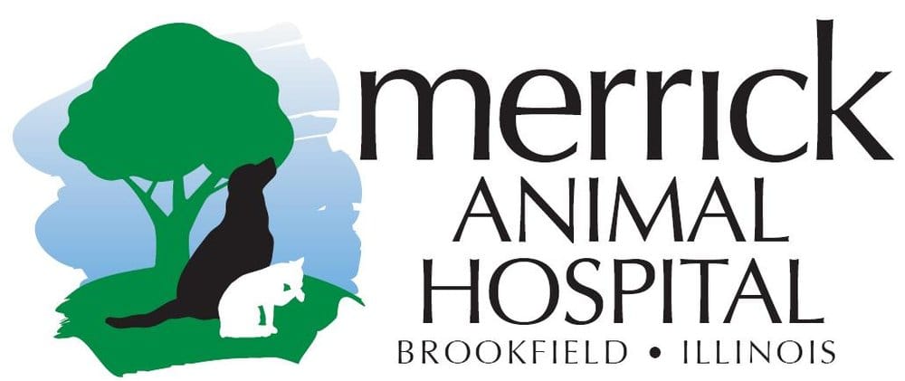 MERRICK ANIMAL HOSPITAL - Updated October 2025 - 76 Reviews - 9115 ...