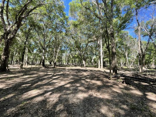 INDEPENDENCE RANCH - Updated January 2026 - 239 Photos & 98 Reviews ...