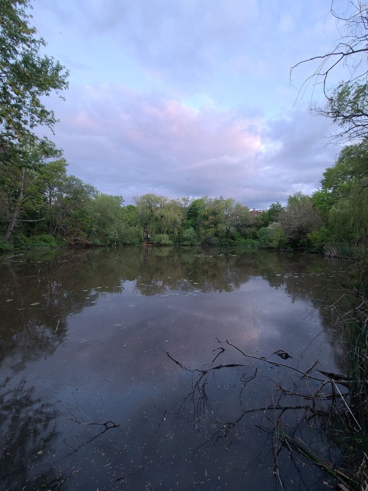HALL’S POND SANCTUARY - Updated May 2025 - Between Amory St And Chilton ...