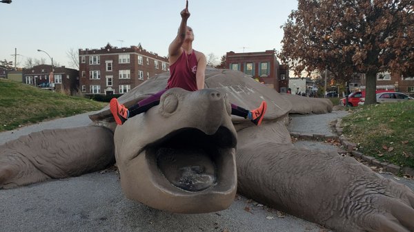 TURTLE PLAYGROUND - 83 Photos & 32 Reviews - 5595 Grand Dr, Saint Louis ...