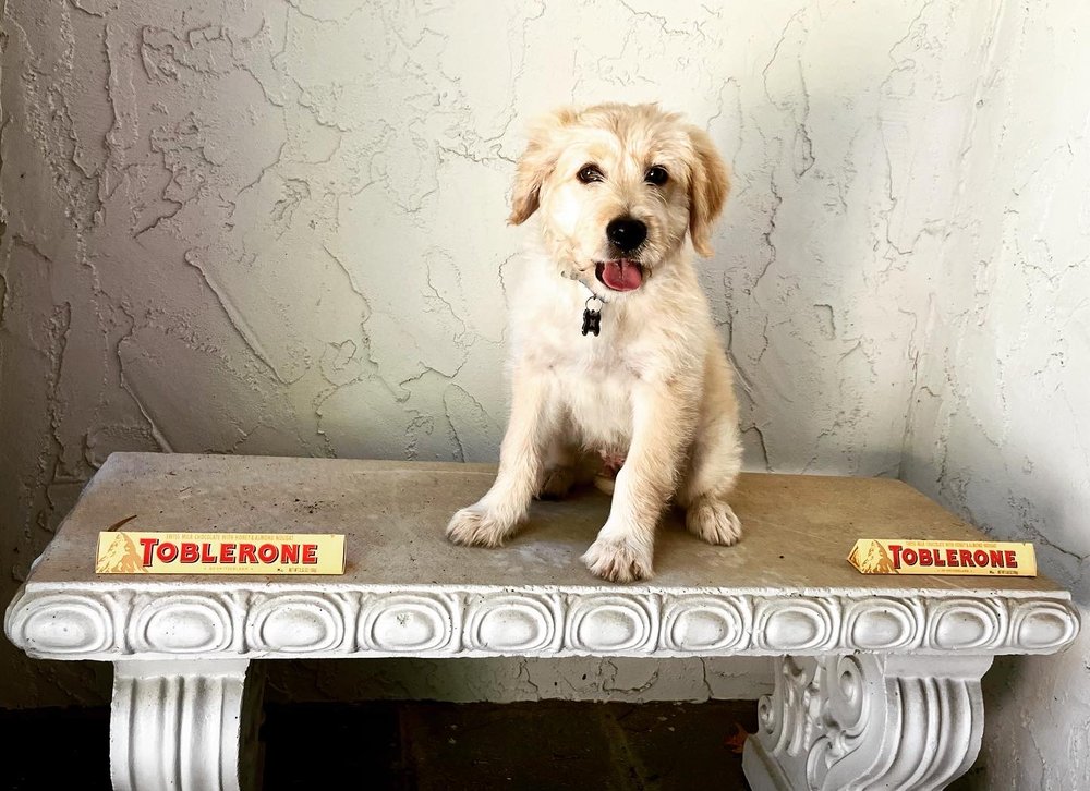 AZOREAN HERITAGE BARBADOS - Updated February 2025 - Request Information ...