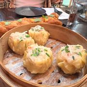 DUMPLING TIME - BERKELEY - 383 Photos & 151 Reviews - 1795 Fourth St ...