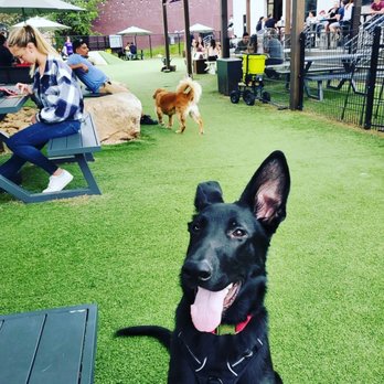 SKIPTOWN - Updated December 2025 - 201 Photos & 115 Reviews - 222 ...