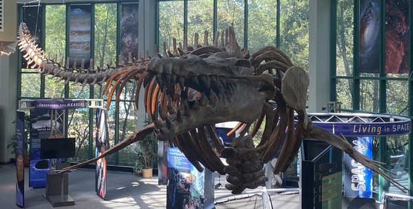 MISSISSIPPI MUSEUM OF NATURAL SCIENCE - Updated March 2025 - 229 Photos ...