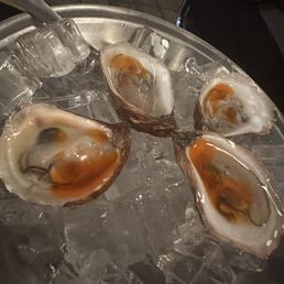 TOLO - Updated December 2025 - 148 Photos & 42 Reviews - 28 Canal St ...