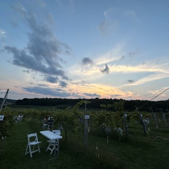 BLUE RIDGE ESTATE VINEYARD & WINERY - Updated October 2025 - 600 Photos ...