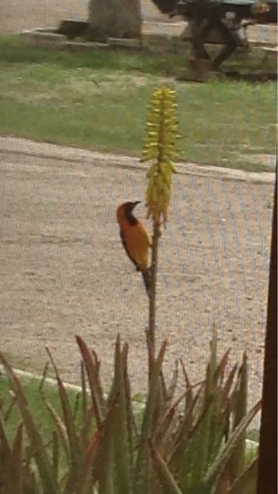 COUNTRY ESTATES RV PARK - Updated December 2025 - 2336 E Fm 1717 ...