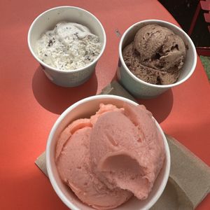 MOLLY MOON’S HOMEMADE ICE CREAM - 740 Photos & 1320 Reviews - 1622 1/2 ...