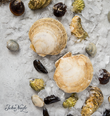 JOHN NAGLE CO. - 306 Northern Ave, Boston, MA - Yelp