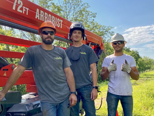 WELLNITZ TREE CARE - Updated December 2025 - 31 Photos & 10 Reviews ...