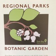 REGIONAL PARKS BOTANIC GARDEN AT TILDEN - 220 Photos & 56 Reviews ...