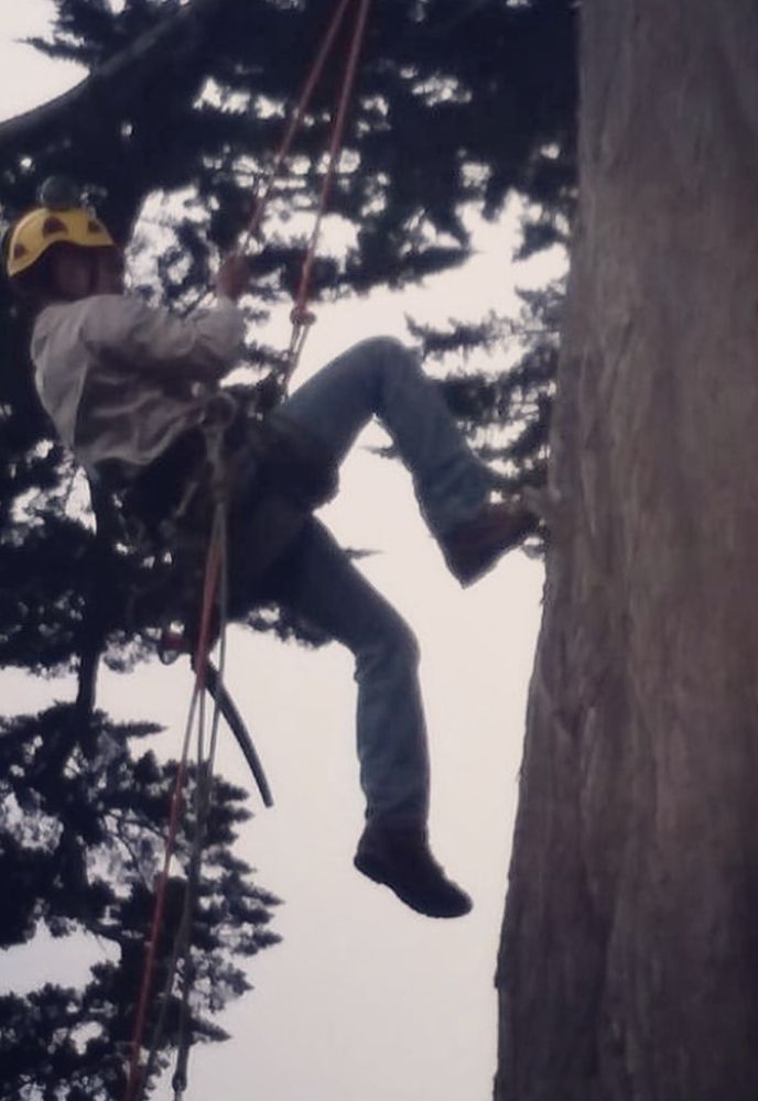 PRO2COL TREE TRIMMING - Updated February 2025 - Mill Valley, California ...