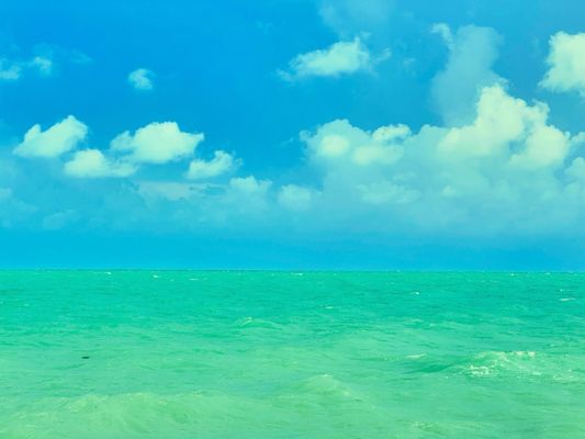 MARVIN KEY - Updated August 2025 - Snipe Keys, Florida - Boating - Yelp