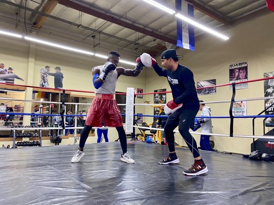 RELENTLESS BOXING - 54 Photos & 66 Reviews - 2354 Calle Del Mundo ...