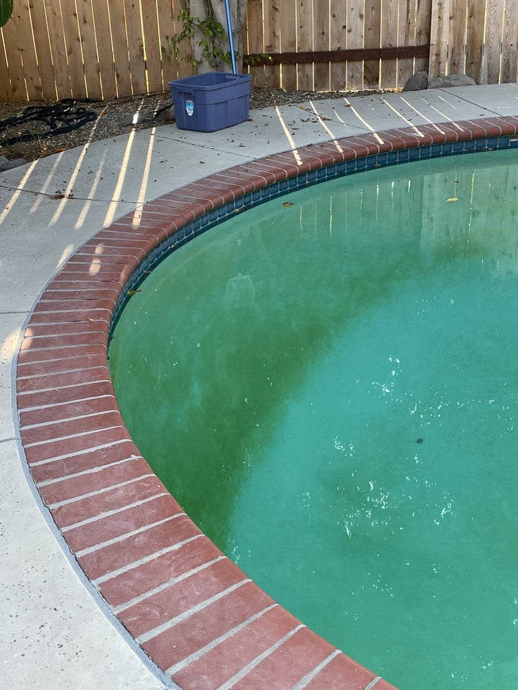 BOB YOUR POOL GUY - Updated April 2024 - 11 Photos - Newbury Park ...