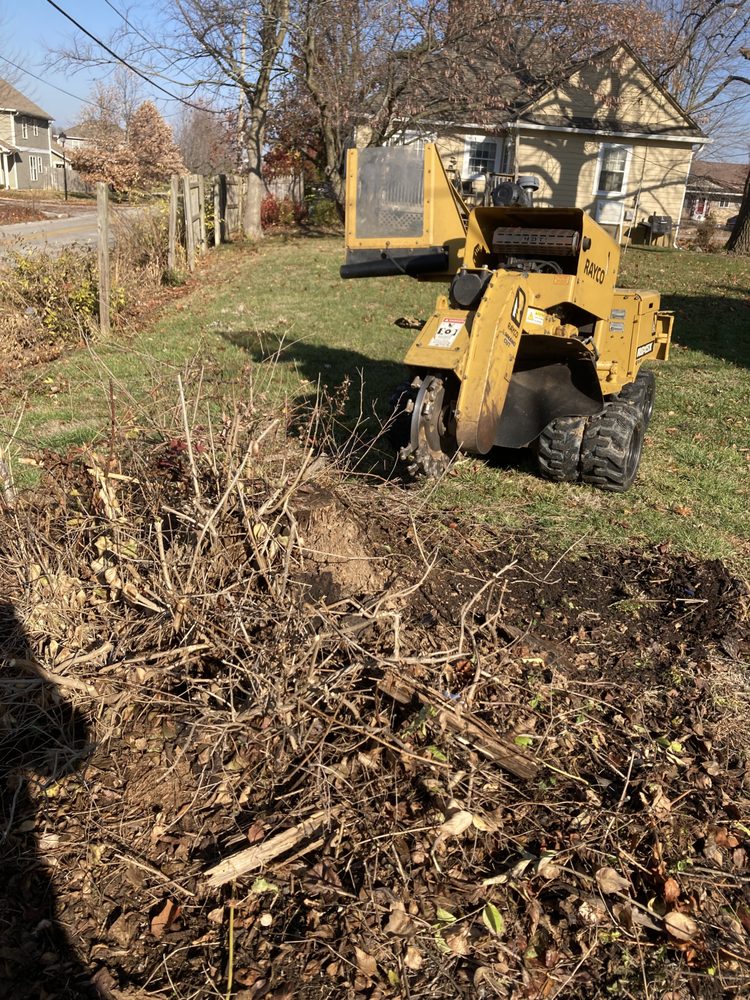 STONE STUMP REMOVAL - Updated September 2024 - 25 Photos - Indianapolis ...