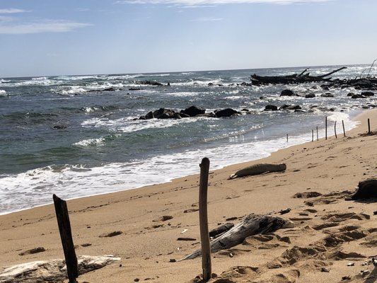 LYDGATE BEACH PARK - 368 Photos & 183 Reviews - Parks - 4470 Nalu Rd ...