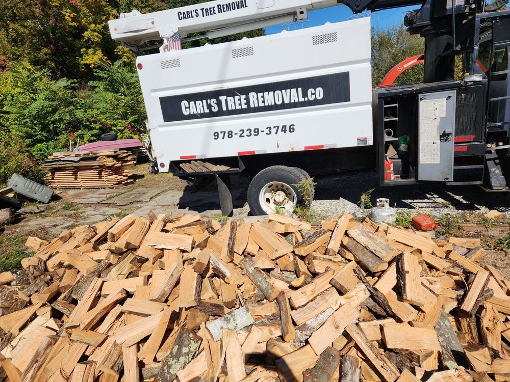 CARL’S TREE REMOVAL - Updated August 2025 - 16 Photos - Tewksbury ...