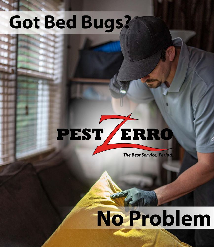 PEST ZERRO - Updated April 2024 - Request a Quote - Aurora, Ontario ...