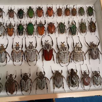 INSECTROPOLIS - Updated October 2025 - 101 Photos & 28 Reviews - 1761 ...