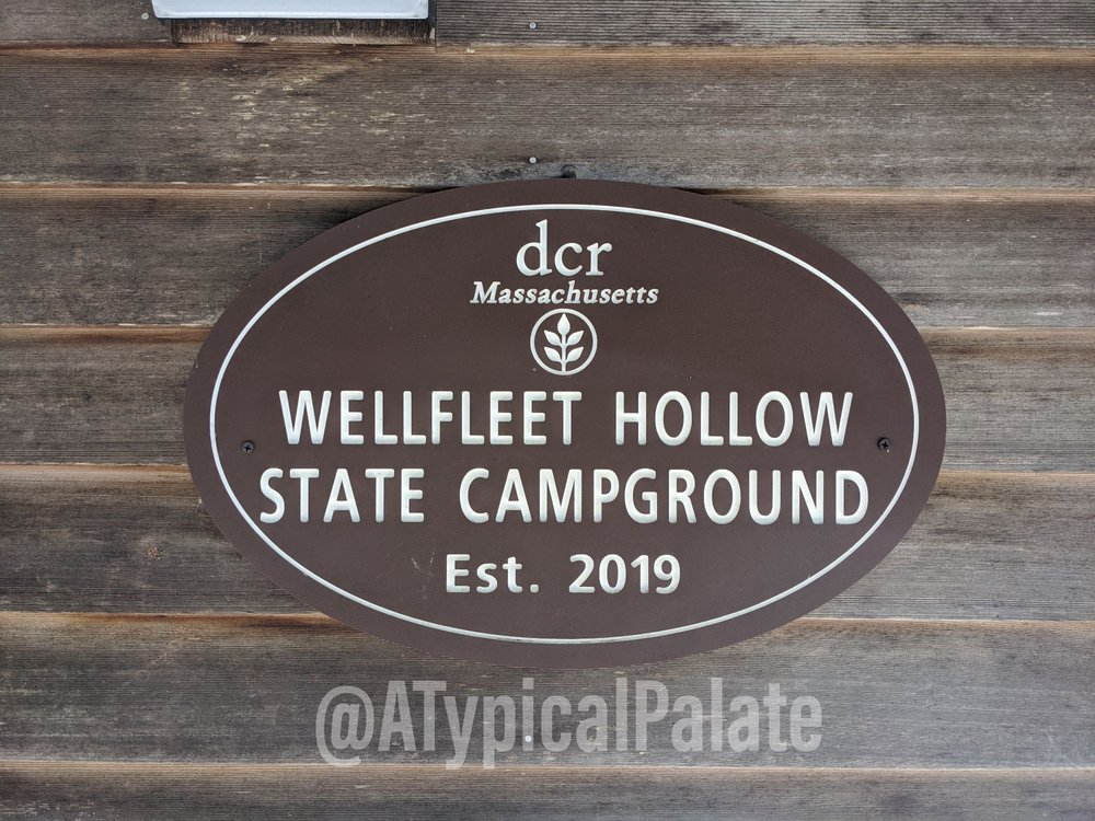 WELLFLEET HOLLOW STATE CAMPGROUND - Updated January 2026 - 180 Old ...