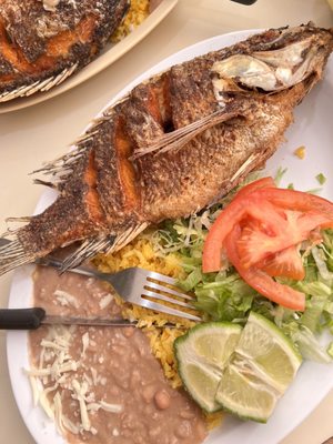 EL RINCON CHILANGO - Updated November 2025 - 113 Photos & 206 Reviews ...