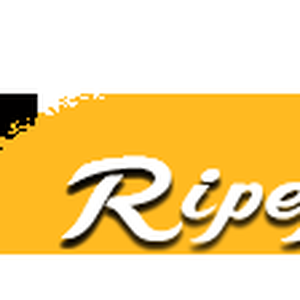 A. RIPEPI & SONS FUNERAL HOME - Updated September 2025 - 18149 Bagley ...