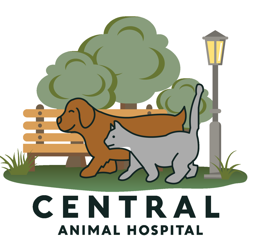 CENTRAL ANIMAL HOSPITAL - Updated October 2025 - 46 Reviews - 109 ...