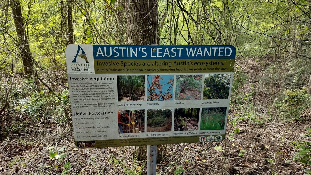 BLUNN CREEK GREENBELT - Updated August 2025 - 73 Photos & 10 Reviews ...