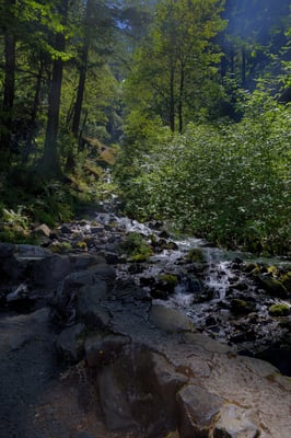 DEVIL’S REST TRAIL - Updated July 2025 - 15 Photos - I-84 Exit 28 ...