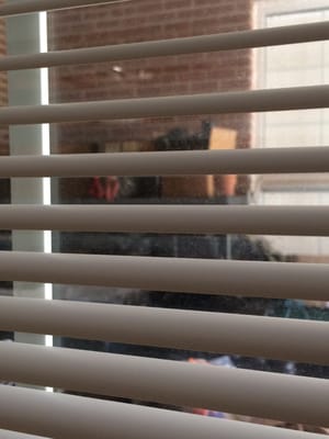 CARDINAL HILL REHABILITATION HOSPITAL - Updated January 2026 - 19 ...