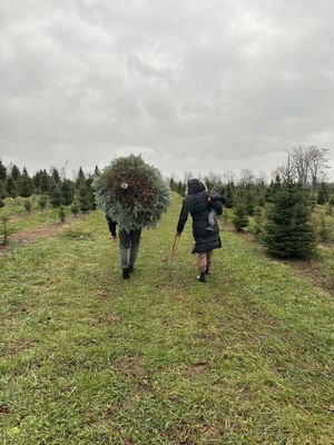 FABULOUS FIRS CHRISTMAS TREE FARM - Updated August 2025 - 683 Van ...