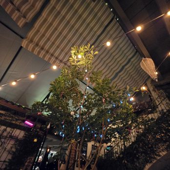 VIOLET BISTRO - Updated January 2026 - 467 Photos & 339 Reviews - 1121 ...