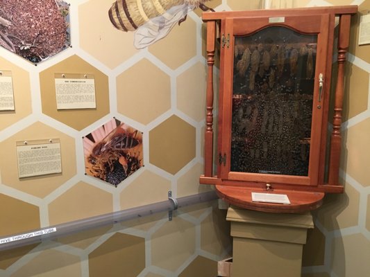 INSECTROPOLIS - 39 Photos & 22 Reviews - 1761 Rte 9, Toms River, New ...