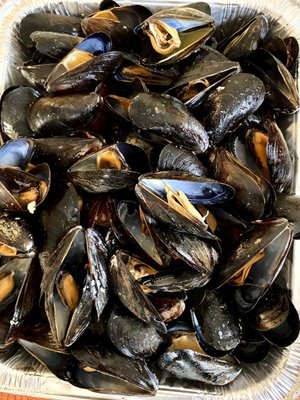 FIFERS SEAFOOD - Updated July 2024 - 149 Photos & 232 Reviews - 8894 ...