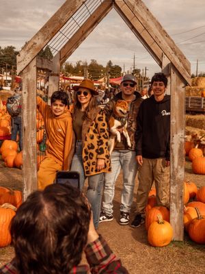 YESTERYEAR FARMS - Updated November 2025 - 206 Photos & 139 Reviews ...