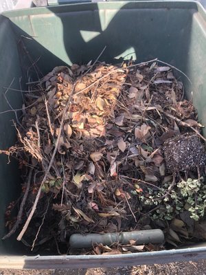 BERTOLOTTI DISPOSAL - Updated October 2025 - 13 Photos & 49 Reviews ...