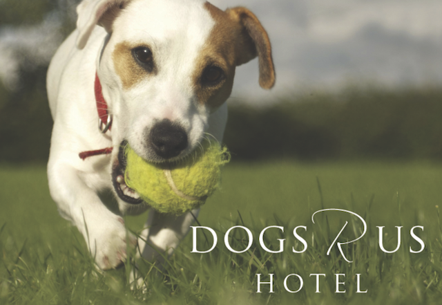 DOGS R US HOTEL - Updated December 2025 - 17223 Bridlepath Ct, Lutz ...