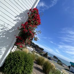 COVE AZUL BAR & GRILL - Updated October 2025 - 143 Photos & 300 Reviews ...