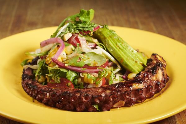 COCINA CHENTE - Updated October 2024 - 429 Photos & 236 Reviews - 3535 ...